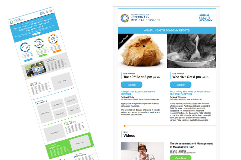 AV - Web & Graphic Designer